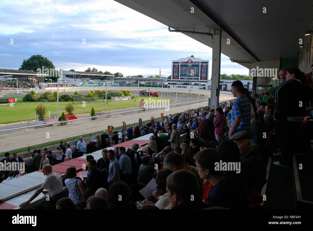 Greyhound racing track stadium -Fotos und -Bildmaterial in hoher ...