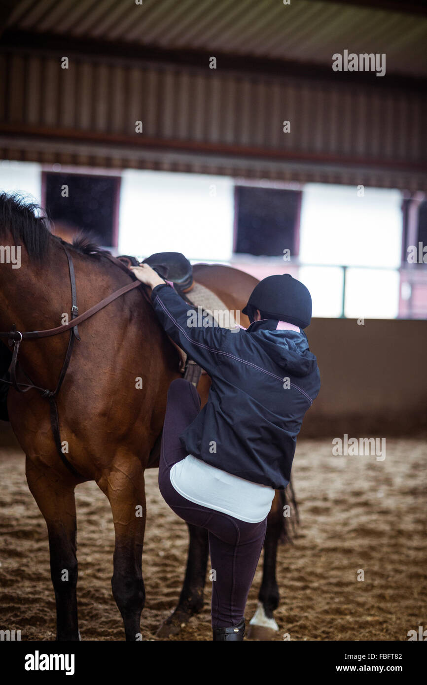 Reiterrin aufs pferd steigend -Fotos und -Bildmaterial in hoher ...