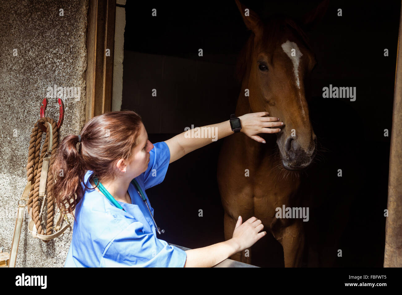 Der Stall Stockfotos und -bilder Kaufen - Alamy