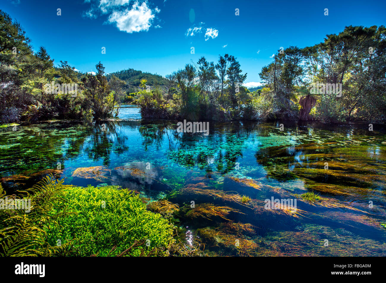 Pupu gehen -Fotos und -Bildmaterial in hoher Auflösung – Alamy