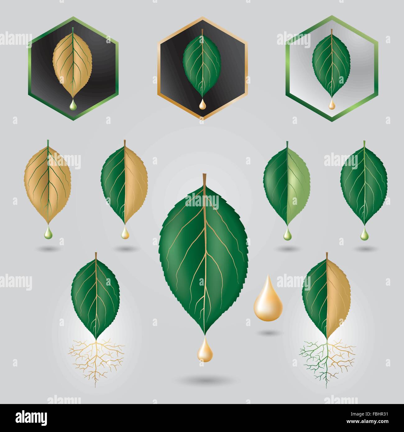 Sap logo design -Fotos und -Bildmaterial in hoher Auflösung – Alamy