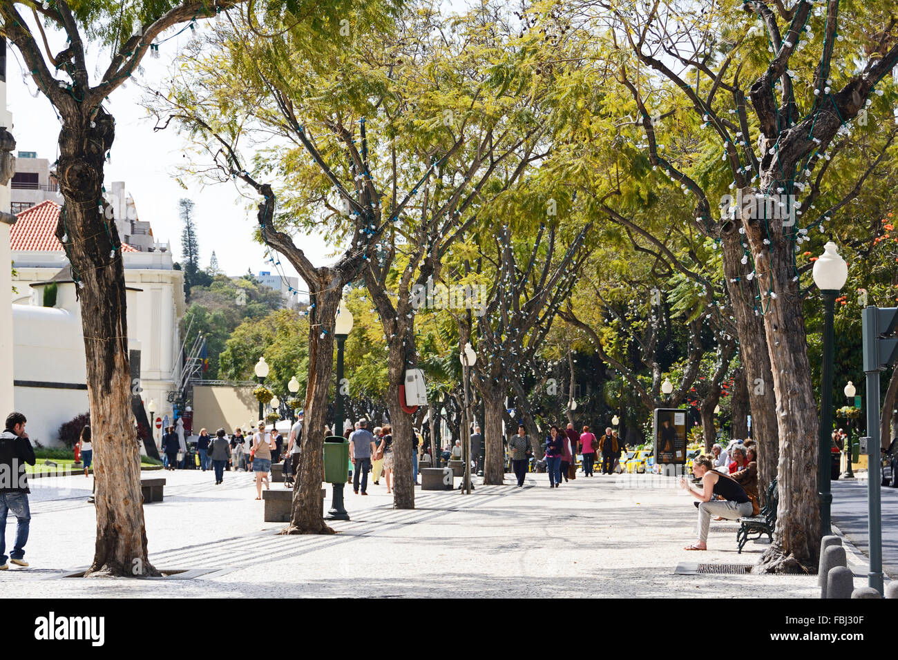 Avenida arriaga funchal madeira street -Fotos und -Bildmaterial in ...