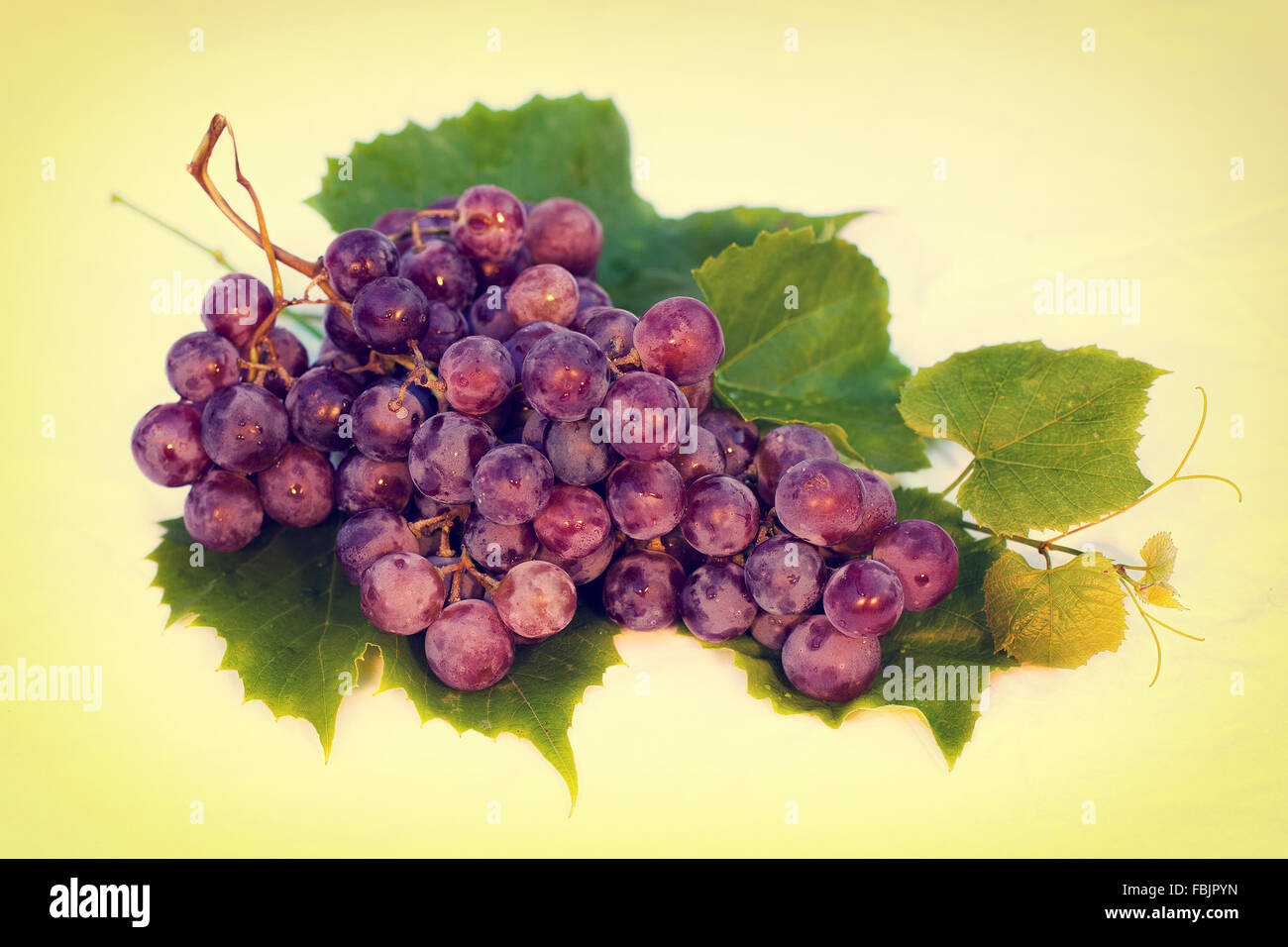 Wet grapes Stockfotos und -bilder Kaufen - Alamy