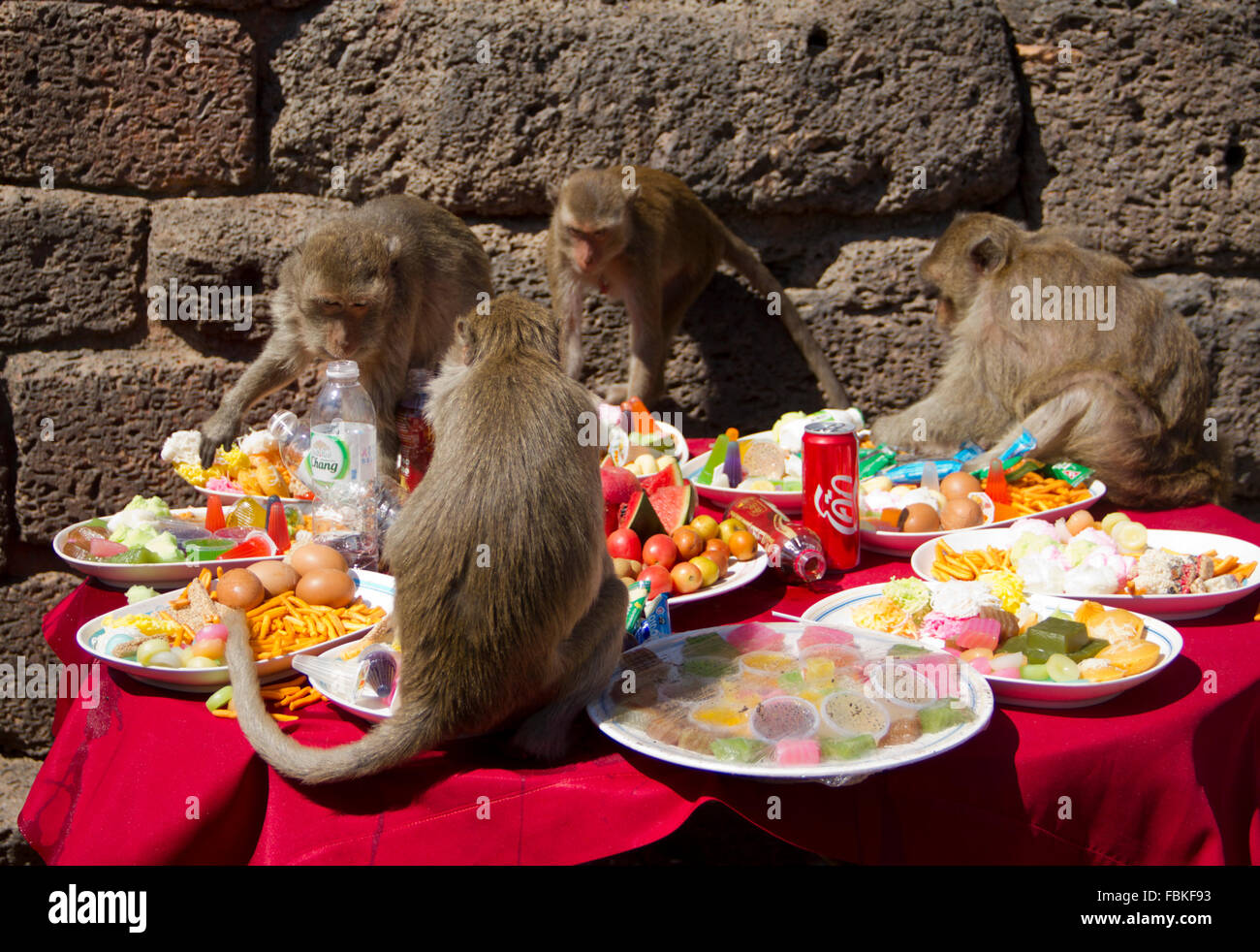 Affen essen Obst während der jährlichen "Affe Buffet" in der Provinz ...