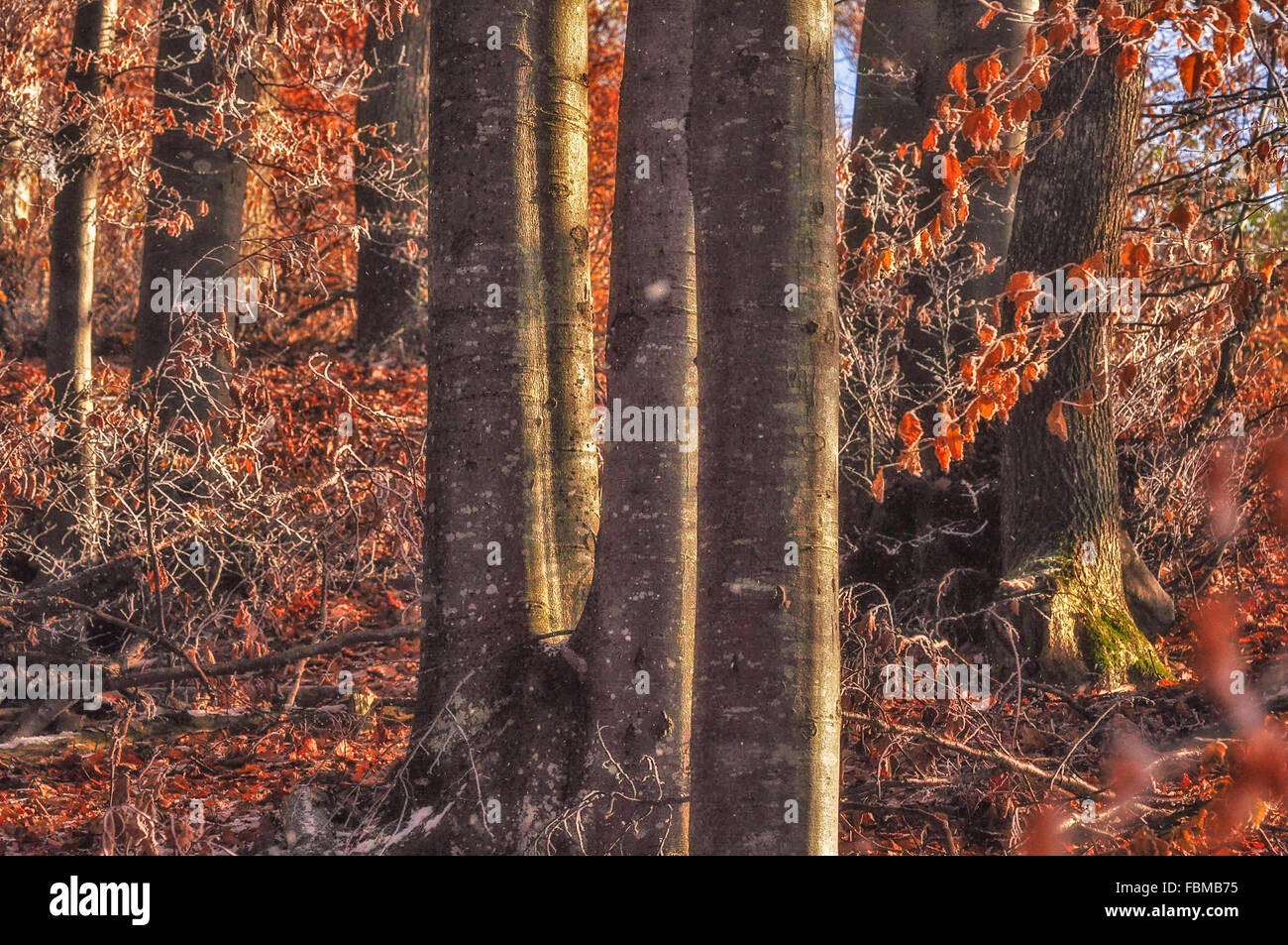 Aargau schweiz -Fotos und -Bildmaterial in hoher Auflösung – Alamy