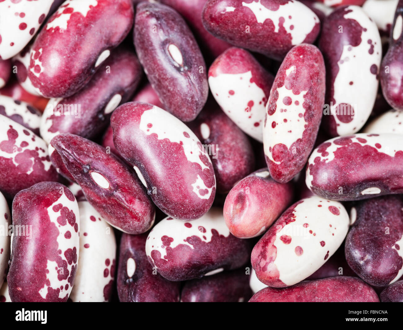 Rot gesprenkelte bohnen -Fotos und -Bildmaterial in hoher Auflösung – Alamy