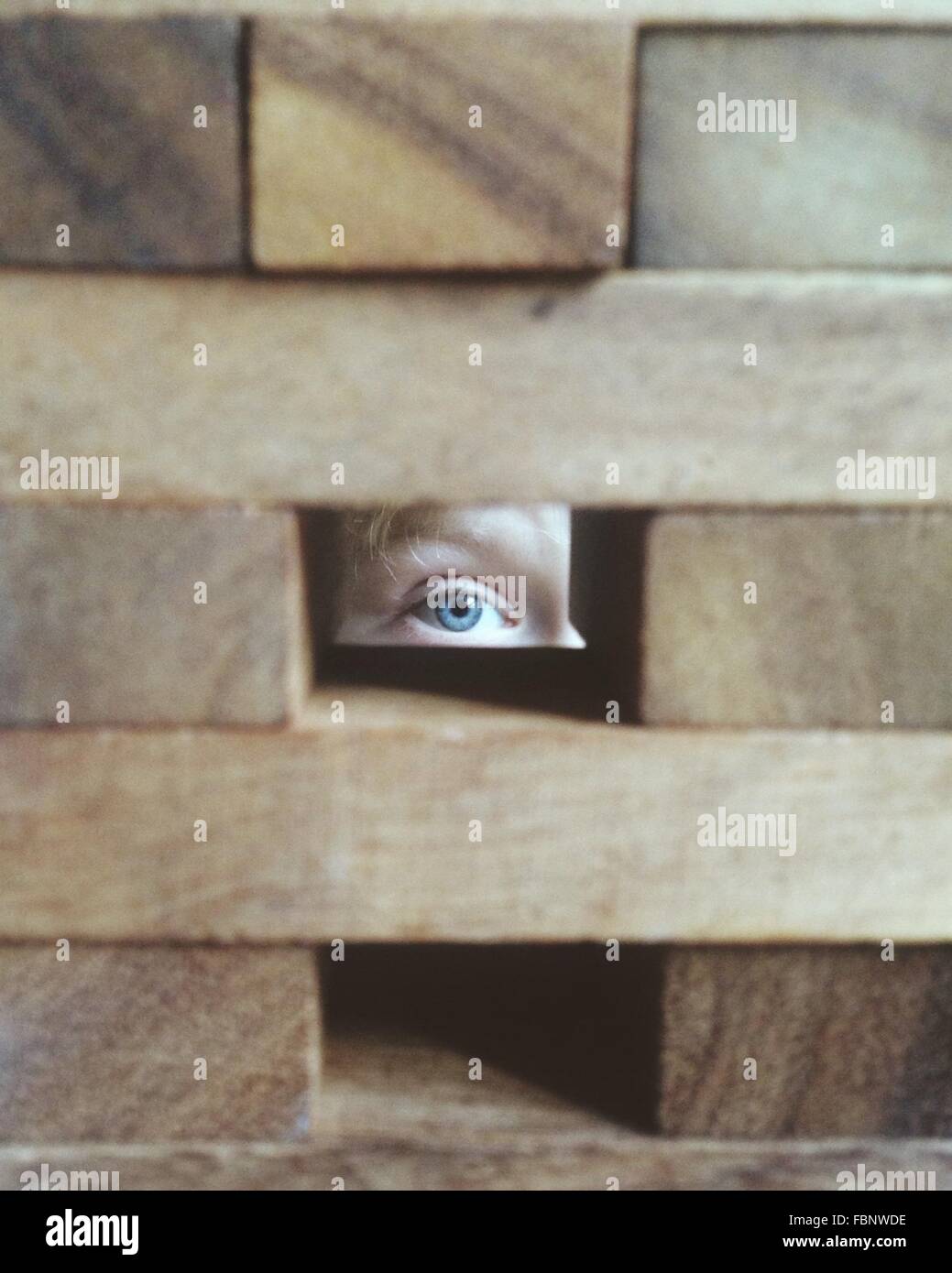 Viereckige Augen Stockfotos und -bilder Kaufen - Alamy