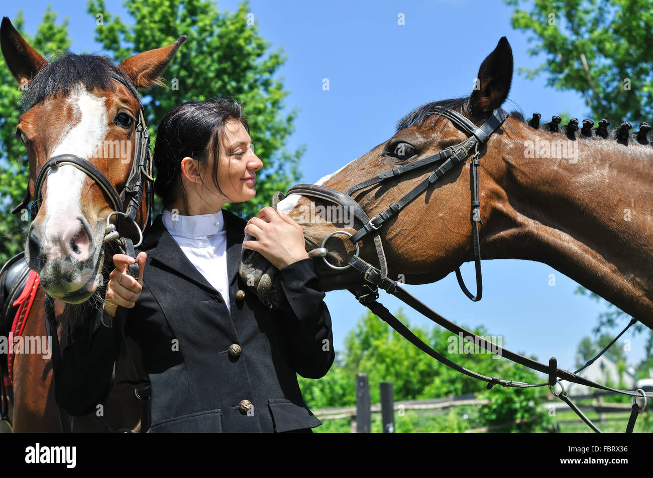 Reiterin reiterin reiterin -Fotos und -Bildmaterial in hoher Auflösung ...