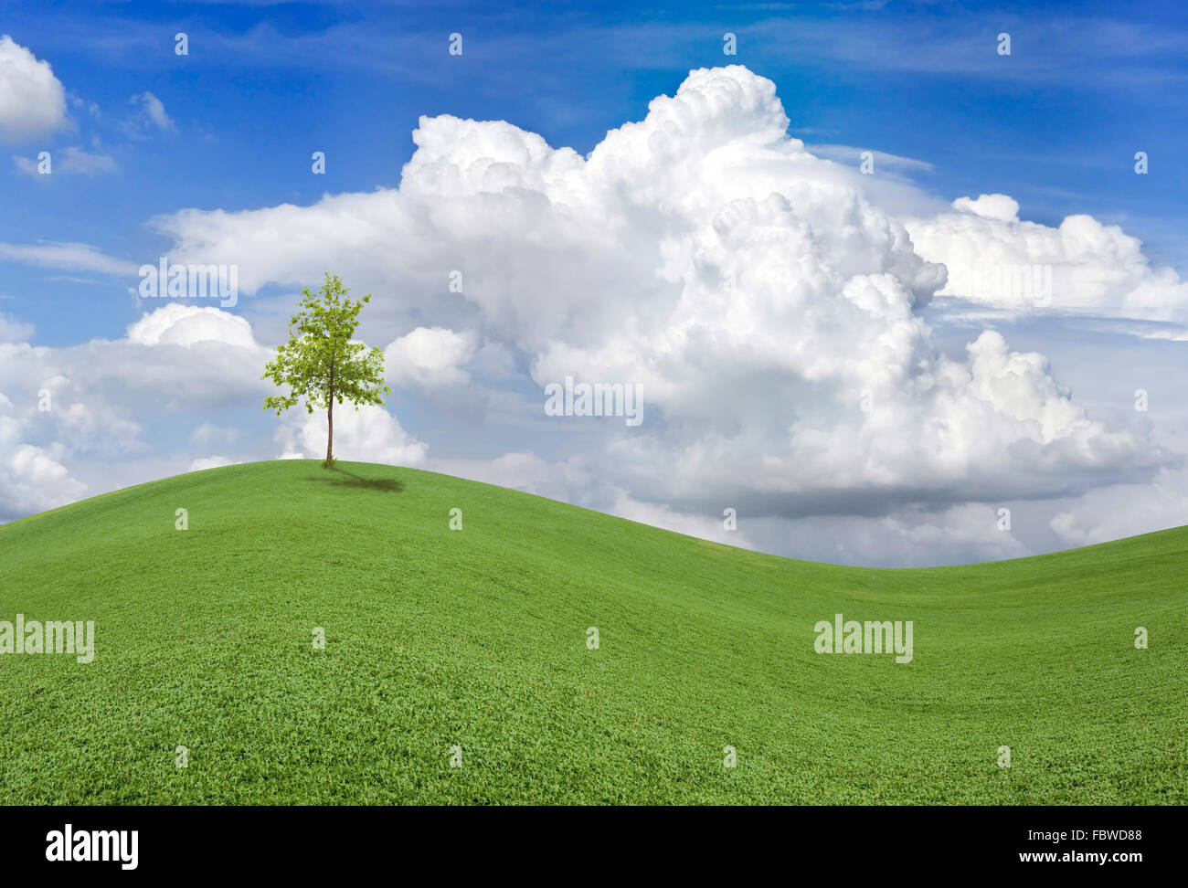 Wellige weide -Fotos und -Bildmaterial in hoher Auflösung – Alamy