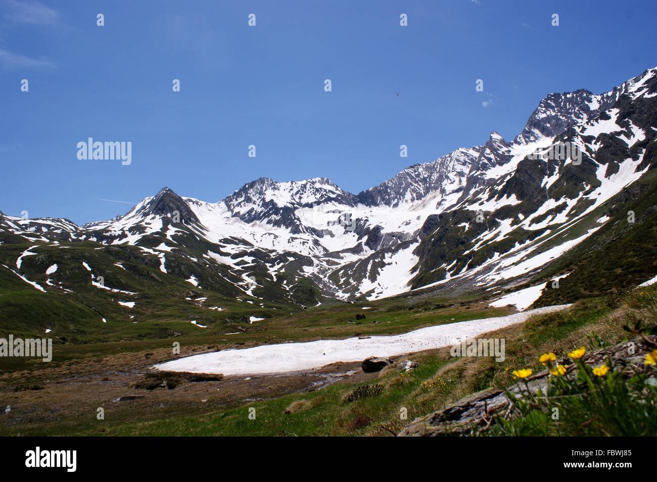 Spring in the alps -Fotos und -Bildmaterial in hoher Auflösung – Alamy