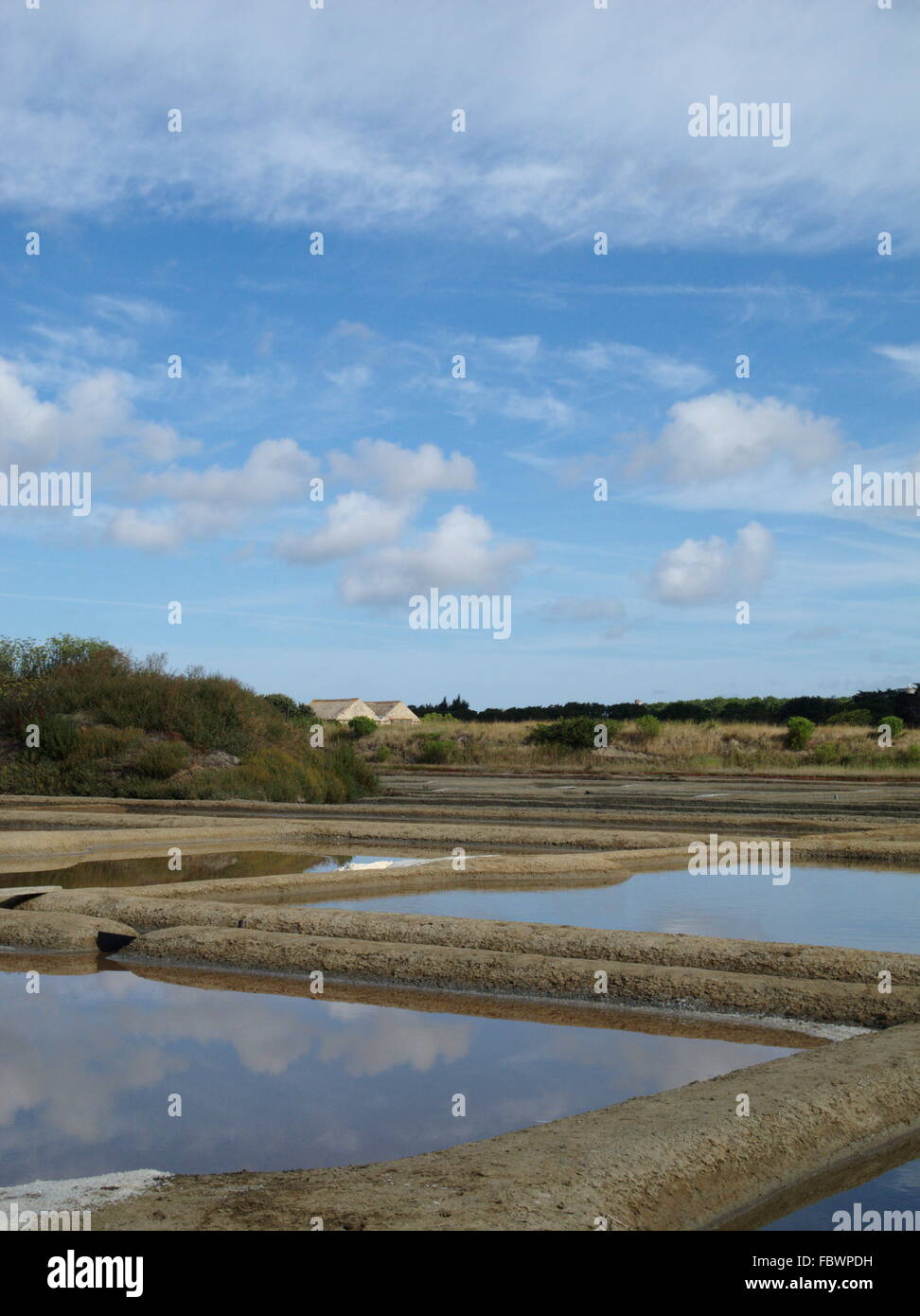 Well centilitre -Fotos und -Bildmaterial in hoher Auflösung – Alamy