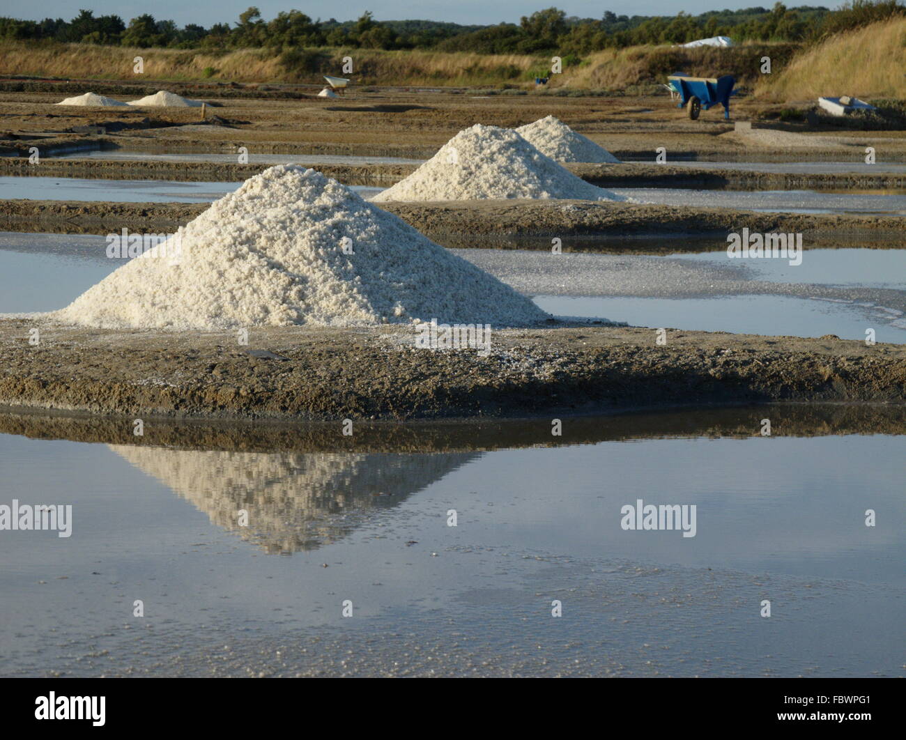 Well centilitre -Fotos und -Bildmaterial in hoher Auflösung – Alamy
