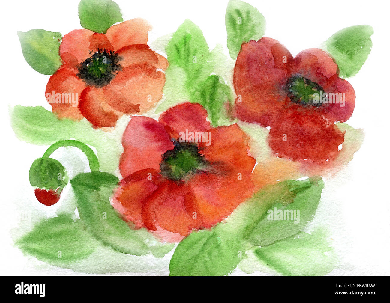 Flower aquarelle -Fotos und -Bildmaterial in hoher Auflösung – Alamy