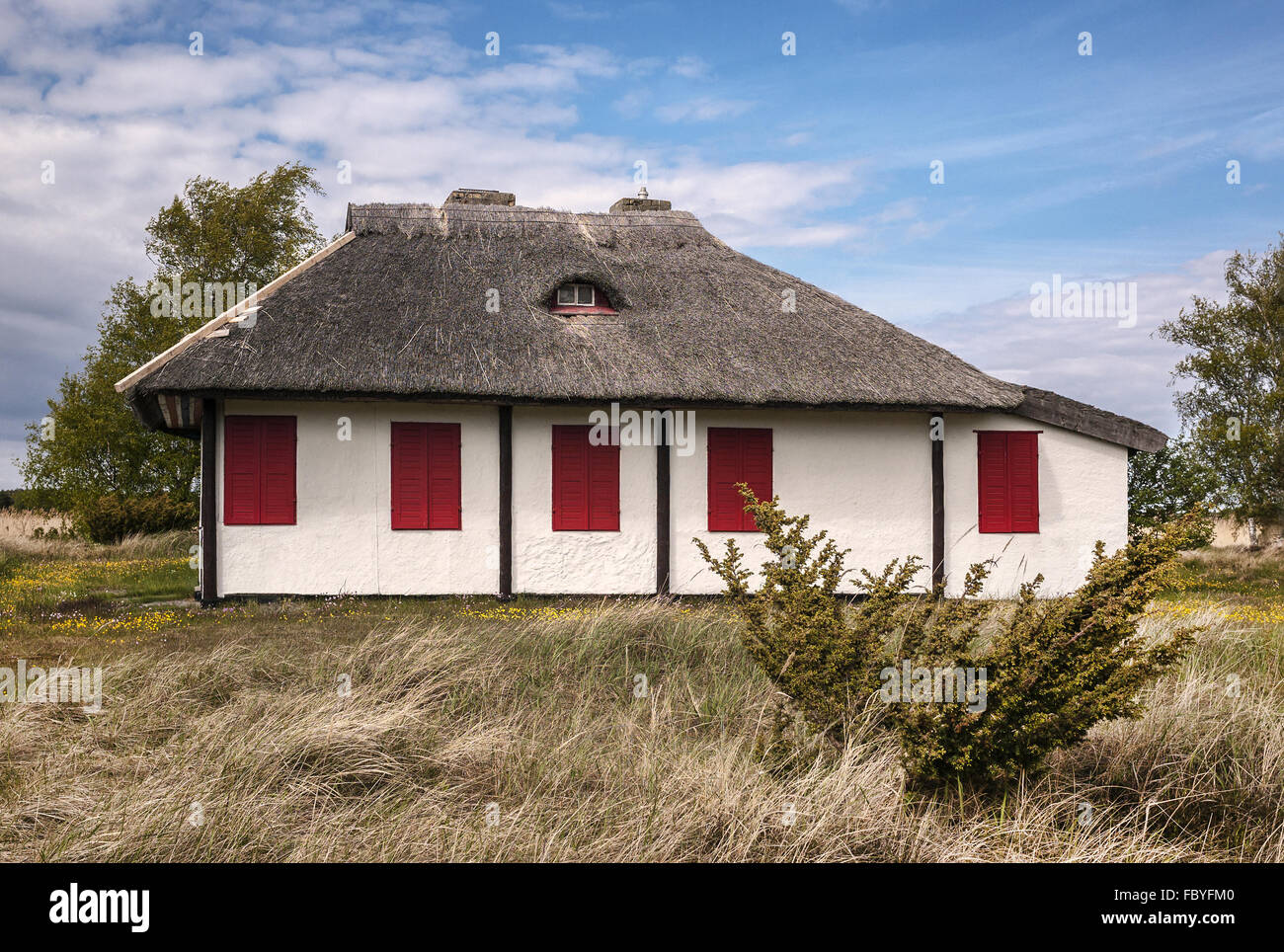 Hiddensee island thatched house -Fotos und -Bildmaterial in hoher ...