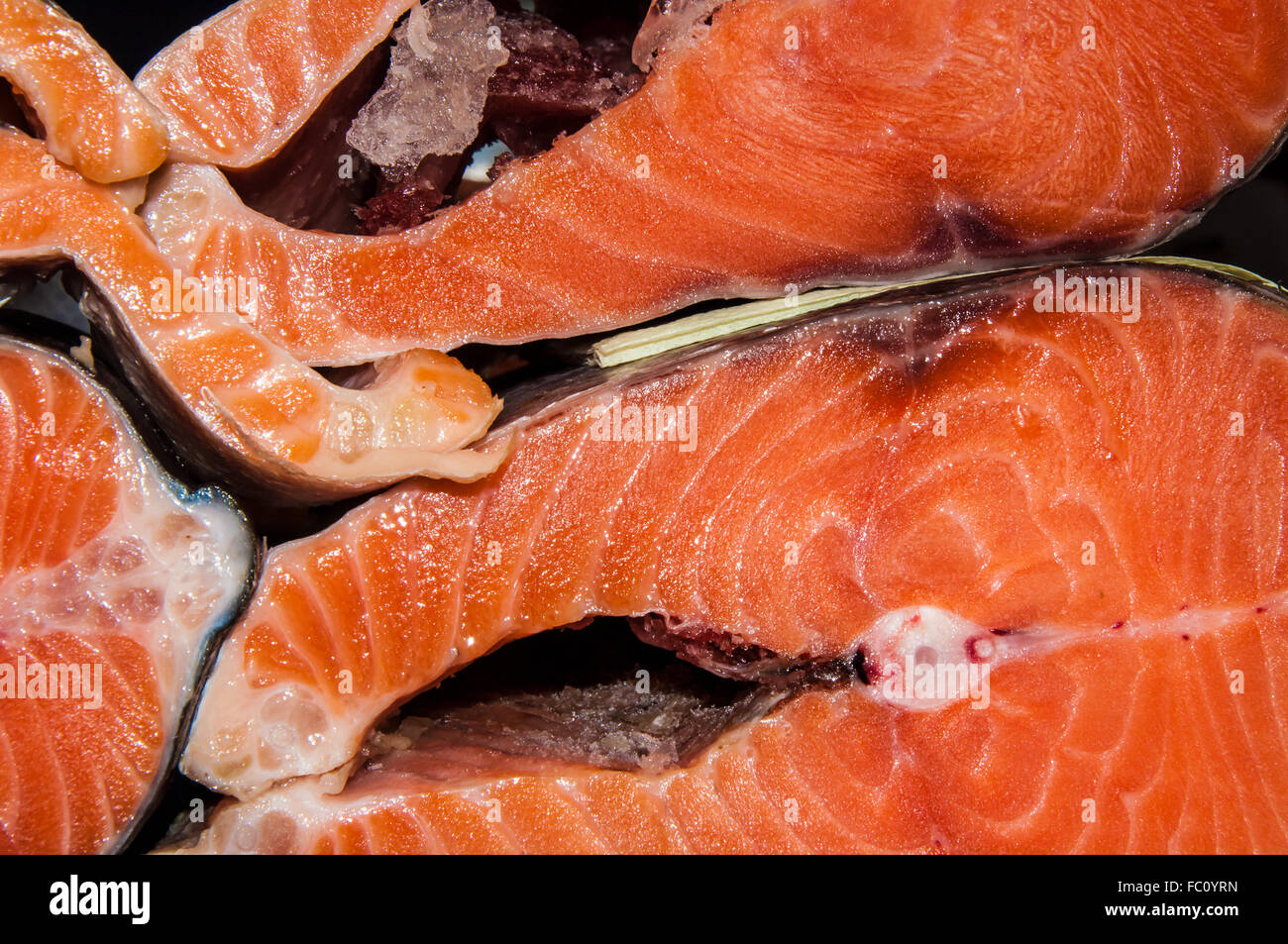 Fisch rot -Fotos und -Bildmaterial in hoher Auflösung – Alamy
