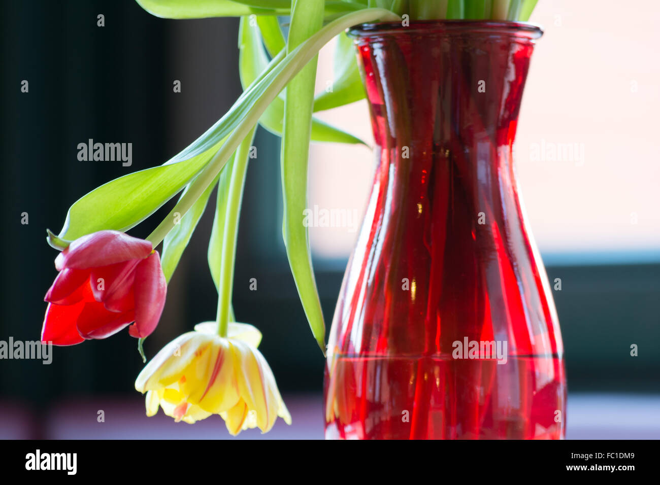 Welke Blumen Stockfotos und -bilder Kaufen - Alamy