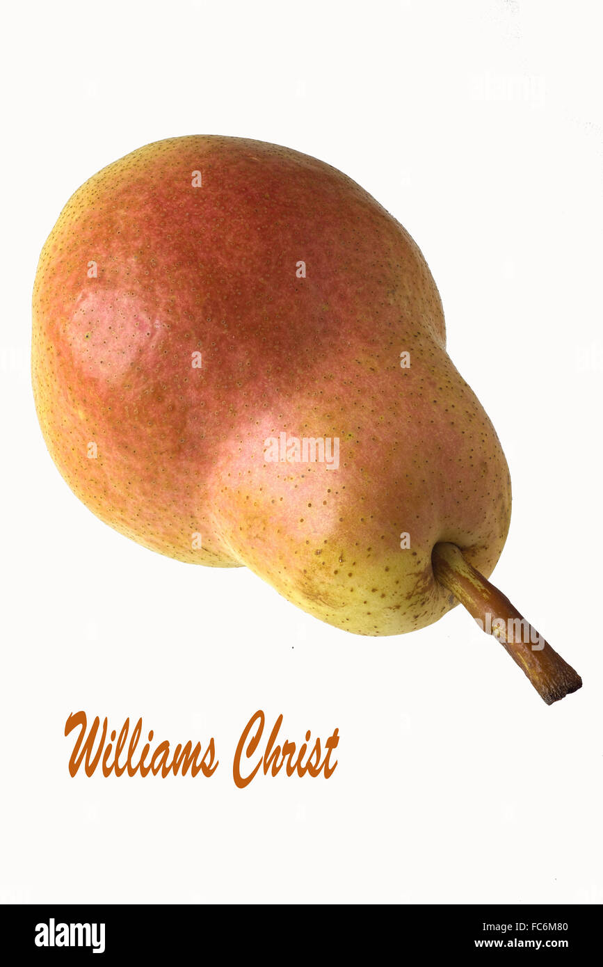 Pyrus Communis Williams Christ Stockfotos und -bilder Kaufen - Alamy