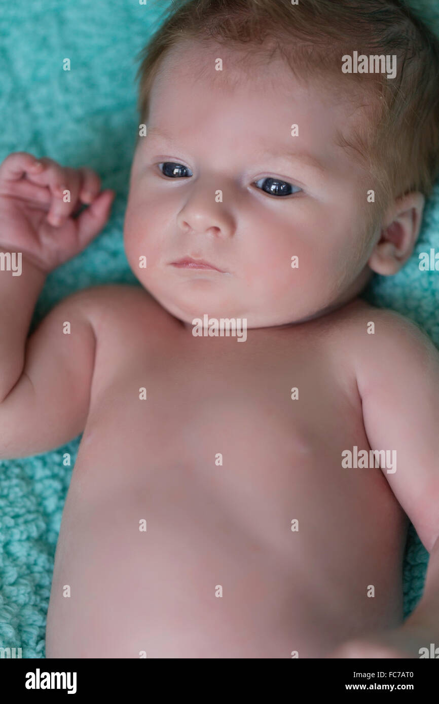 One month -Fotos und -Bildmaterial in hoher Auflösung – Alamy