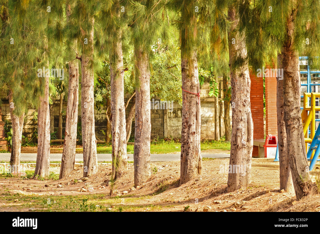 Nc kiefer -Fotos und -Bildmaterial in hoher Auflösung – Alamy
