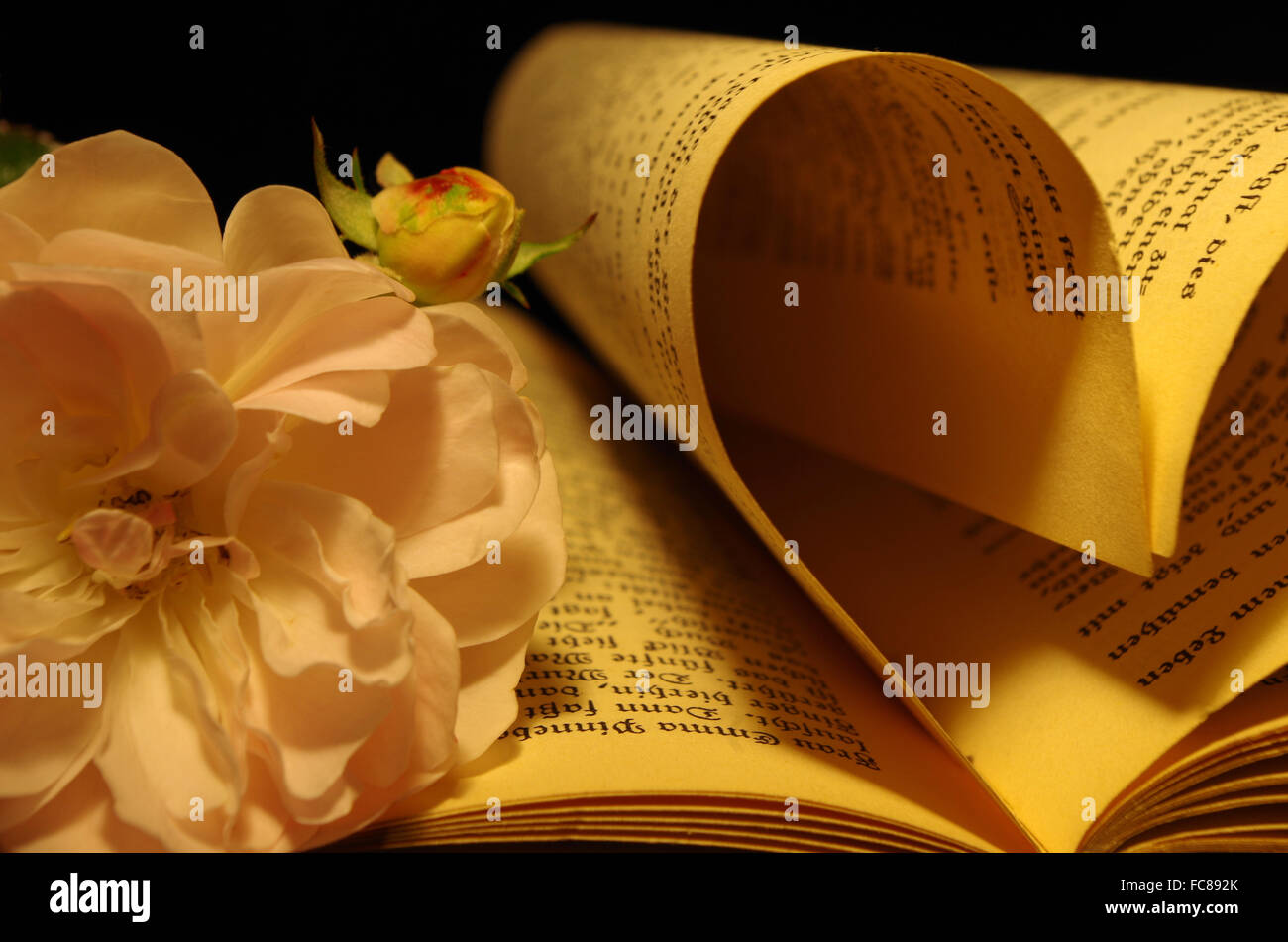 Sutterlin script -Fotos und -Bildmaterial in hoher Auflösung – Alamy
