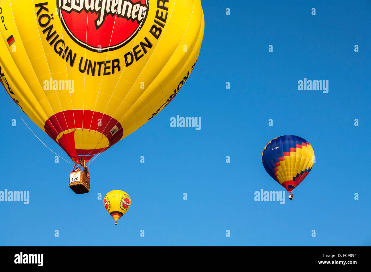 DEU, Deutschland, Sauerland Region, Warstein, Internationale ...