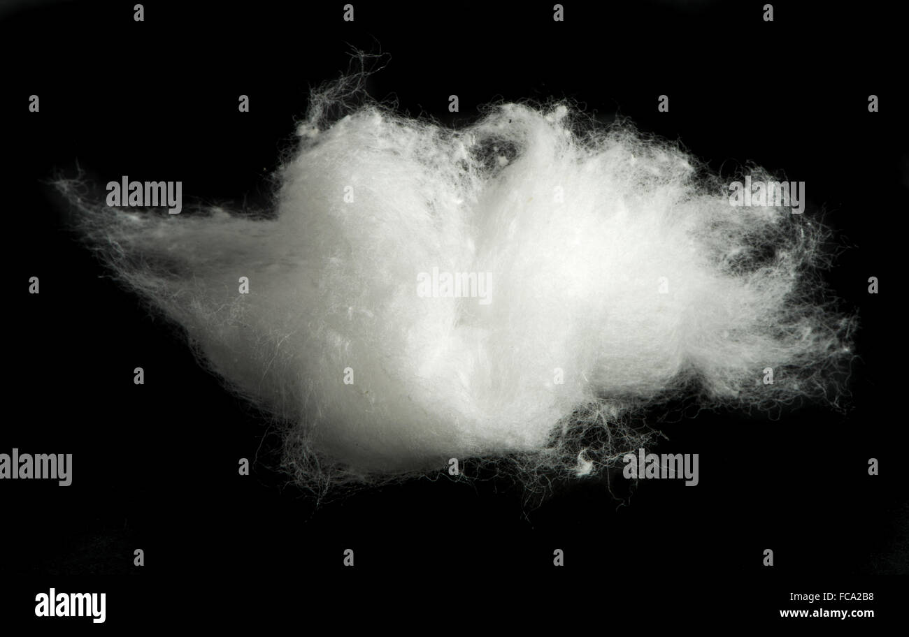 Cotton wool -Fotos und -Bildmaterial in hoher Auflösung – Alamy