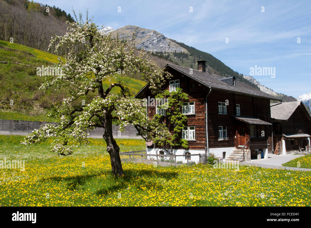 Elm switzerland -Fotos und -Bildmaterial in hoher Auflösung – Alamy