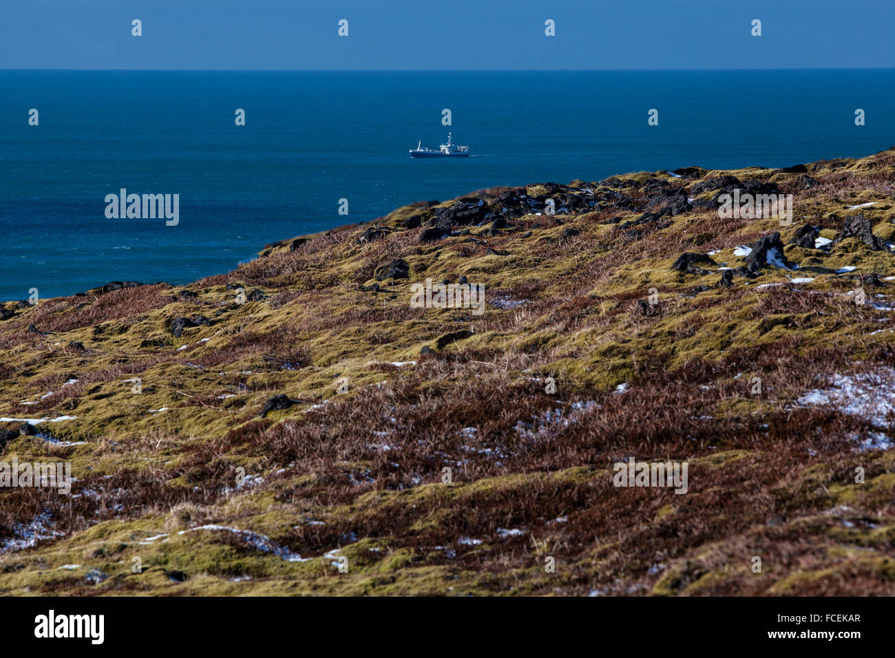 La flora y fauna -Fotos und -Bildmaterial in hoher Auflösung – Alamy