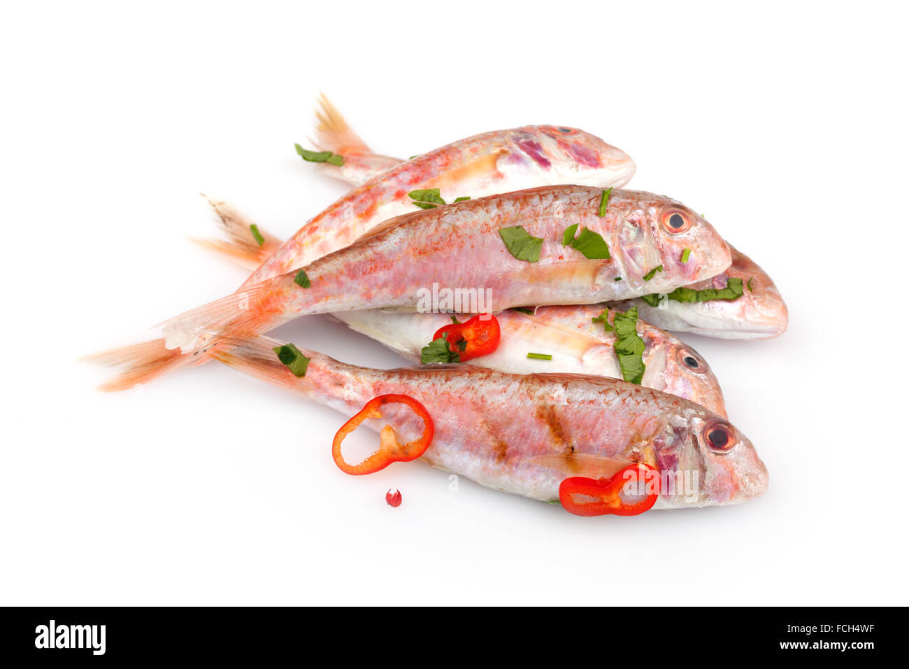 Red mullet -Fotos und -Bildmaterial in hoher Auflösung – Alamy