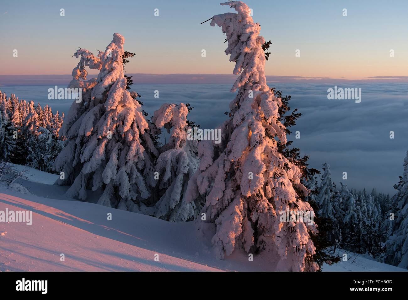 Großer arber gipfel -Fotos und -Bildmaterial in hoher Auflösung – Alamy