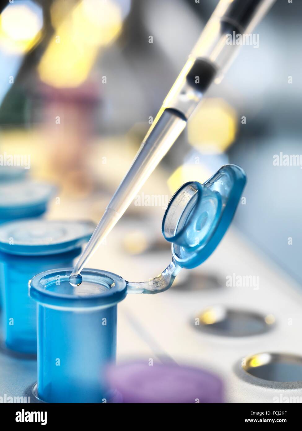 Microfuge tube -Fotos und -Bildmaterial in hoher Auflösung – Alamy