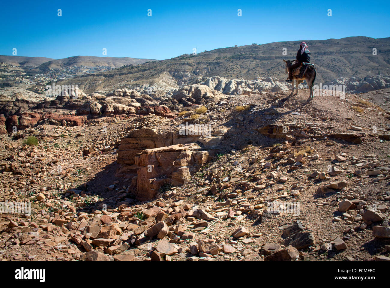 Beduinen esel -Fotos und -Bildmaterial in hoher Auflösung – Alamy