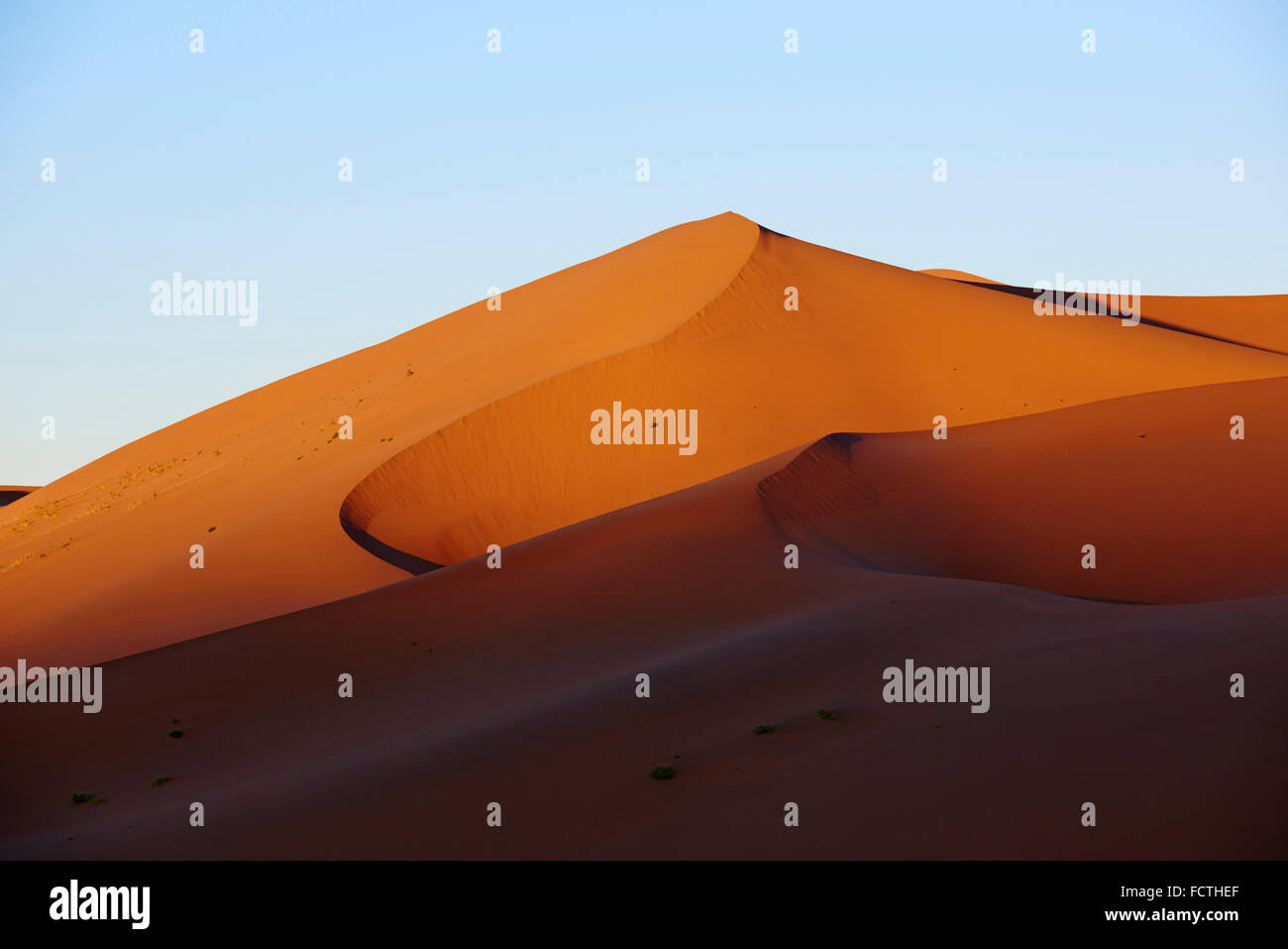 Der Gobi Stockfotos und -bilder Kaufen - Alamy