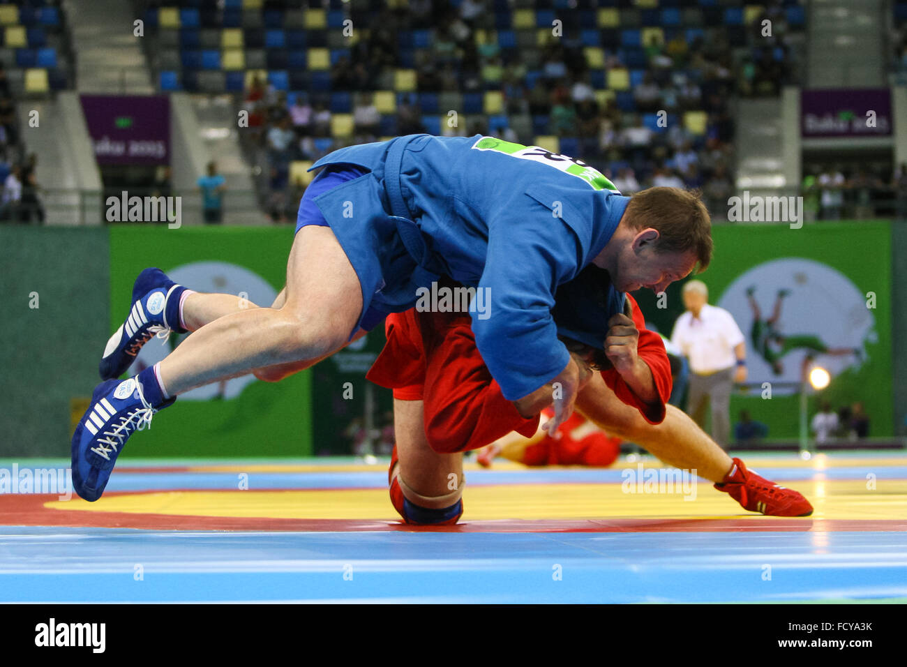Yury rybak -Fotos und -Bildmaterial in hoher Auflösung – Alamy