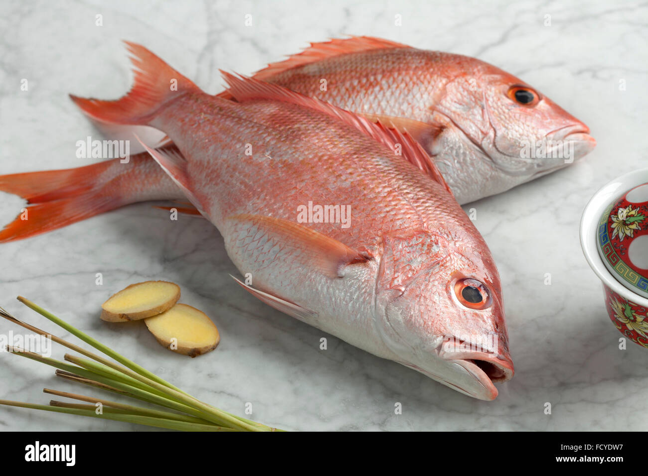 Frischer schnapper Stockfotos und -bilder Kaufen - Alamy