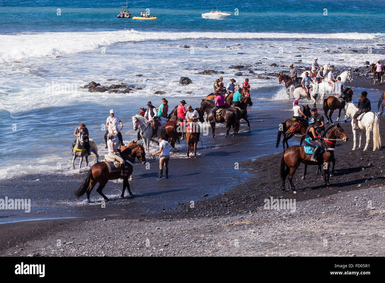 Die jährliche rituelle Baden der Pferde im Meer am Playa La Enramada, La Caleta, im Rahmen der ...