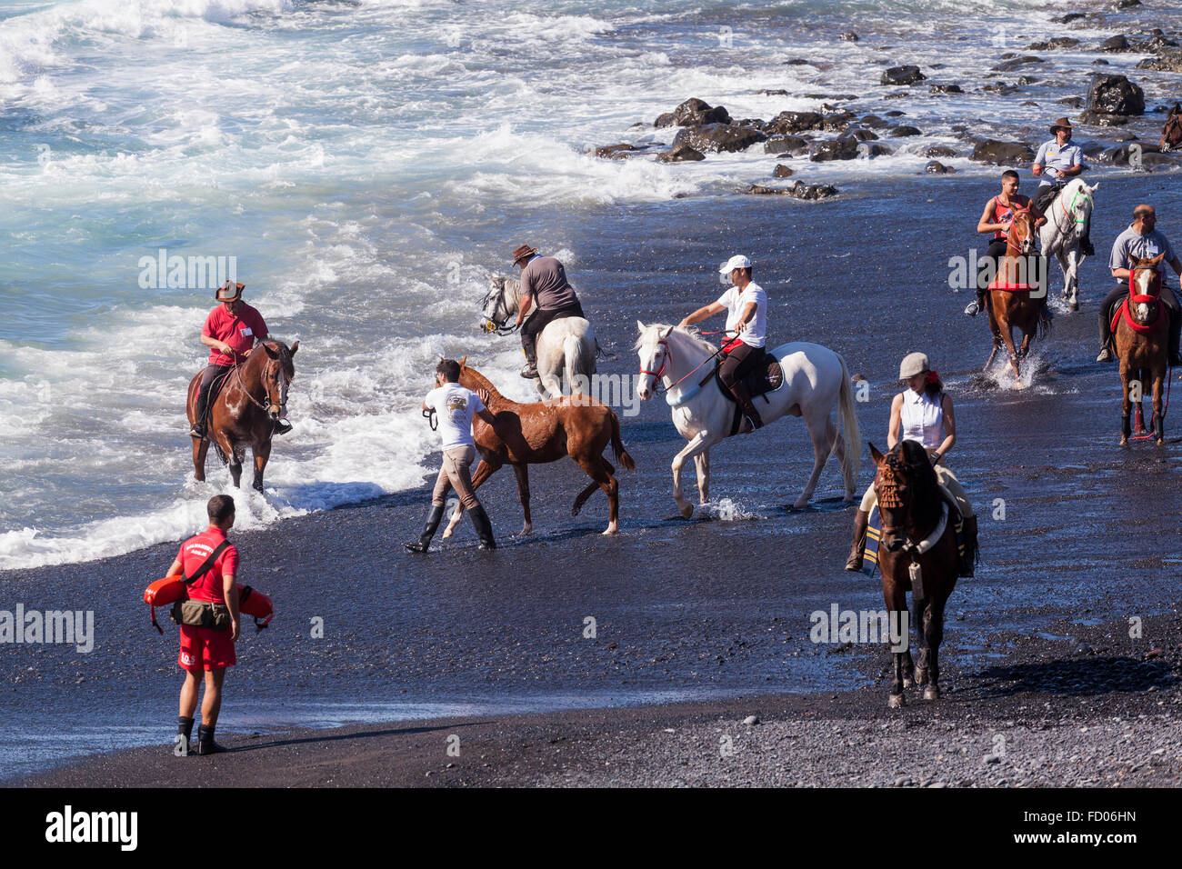 Pferde baden -Fotos und -Bildmaterial in hoher Auflösung – Alamy