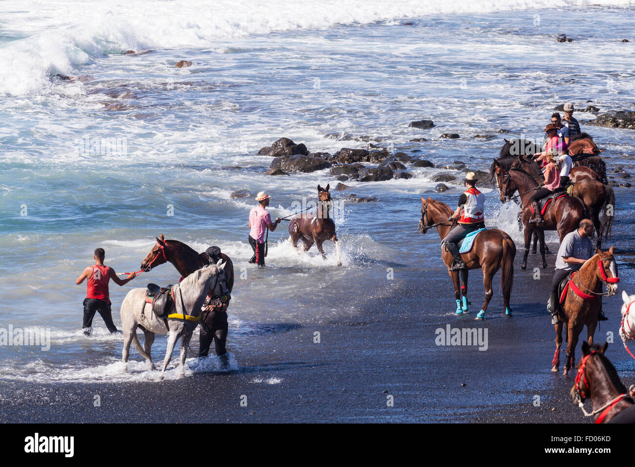 Die jährliche rituelle Baden der Pferde im Meer am Playa La Enramada, La Caleta, im Rahmen der ...