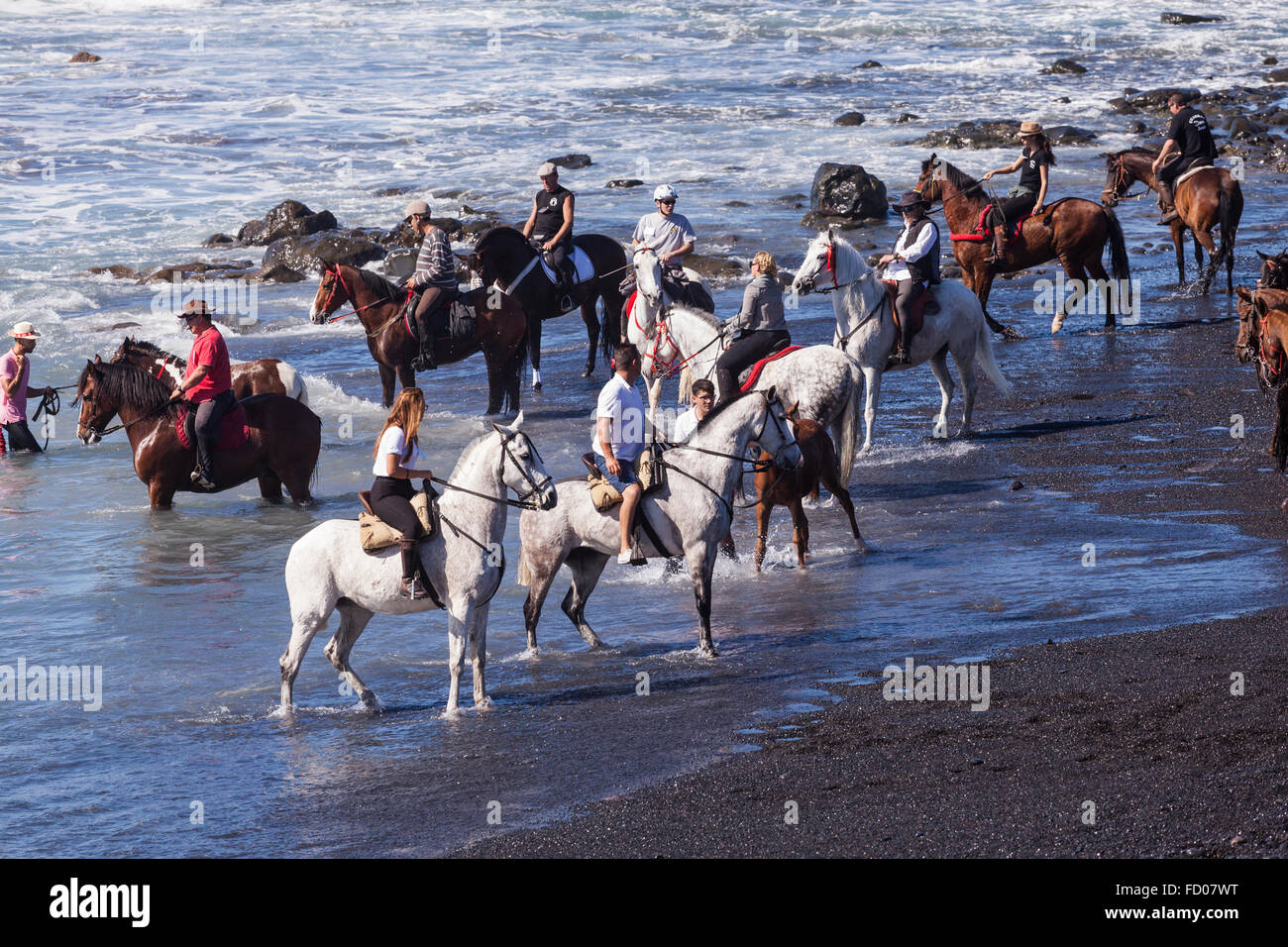 Die jährliche rituelle Baden der Pferde im Meer am Playa La Enramada, La Caleta, im Rahmen der ...