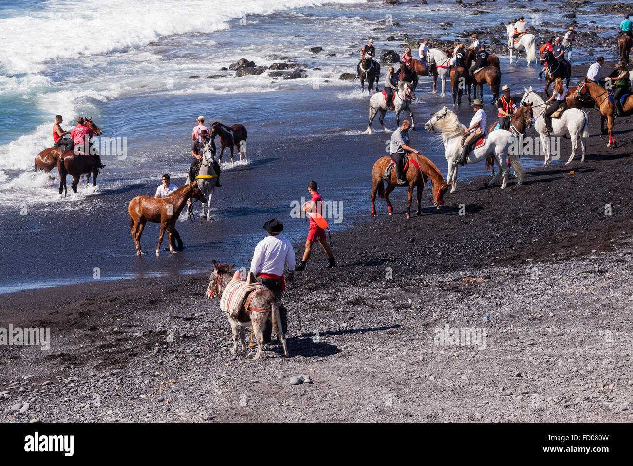 Die jährliche rituelle Baden der Pferde im Meer am Playa La Enramada, La Caleta, im Rahmen der ...