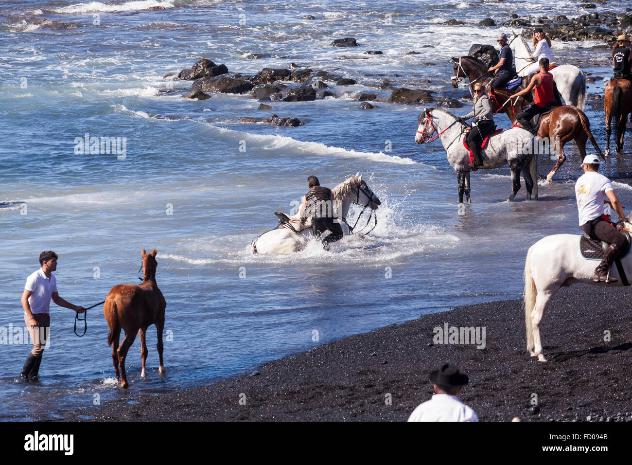Die jährliche rituelle Baden der Pferde im Meer am Playa La Enramada, La Caleta, im Rahmen der ...