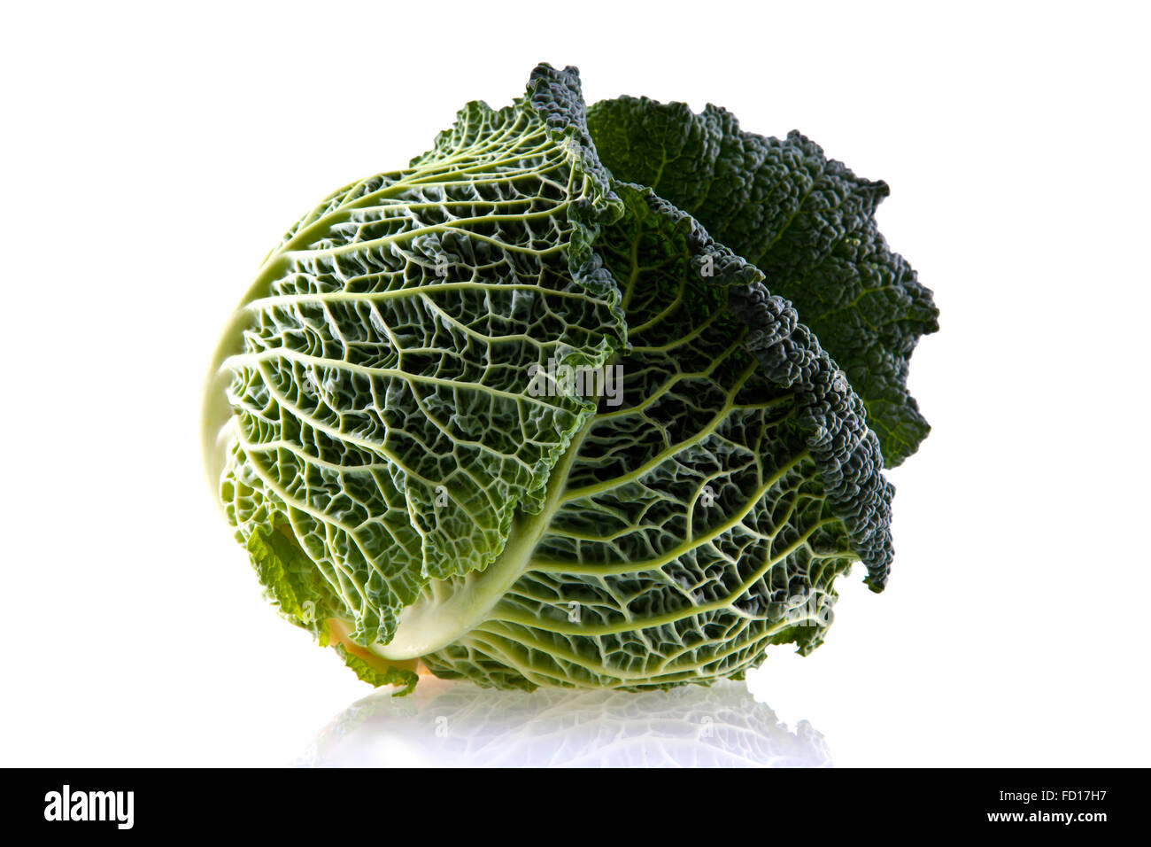 Bio spitzkohl -Fotos und -Bildmaterial in hoher Auflösung – Alamy