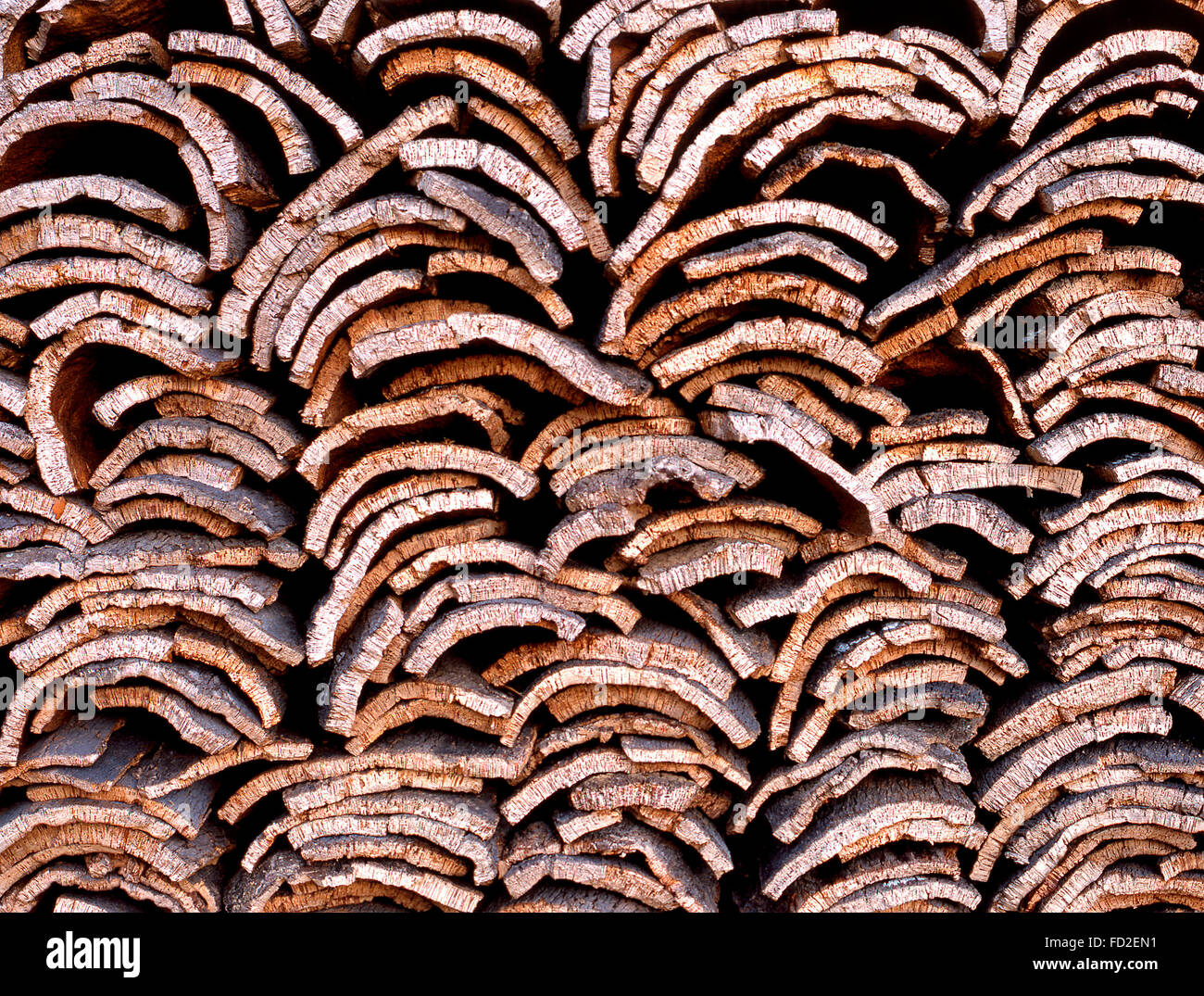 Kork baum -Fotos und -Bildmaterial in hoher Auflösung – Alamy