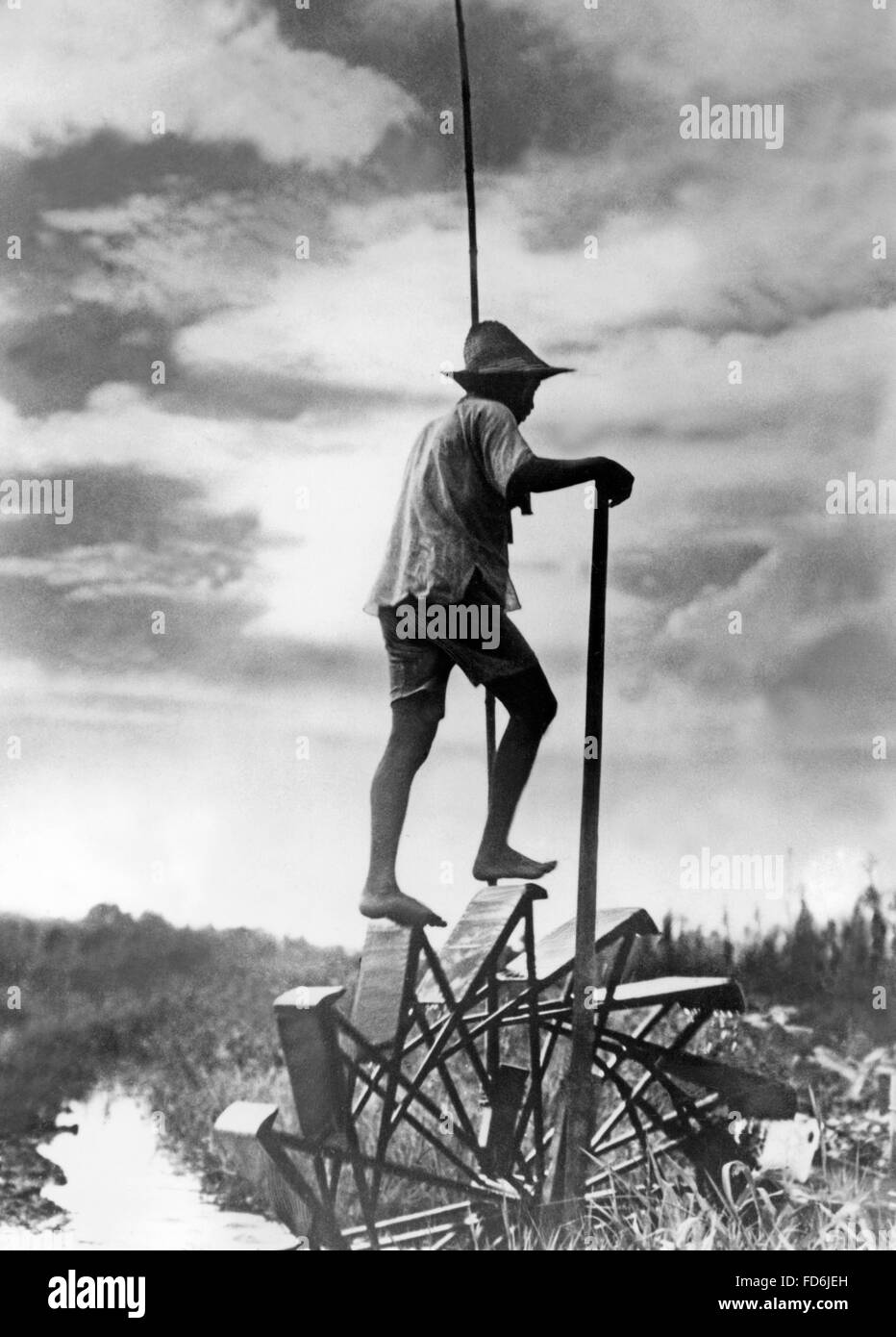 Japanischer Reisbauer Stockfotos und -bilder Kaufen - Alamy