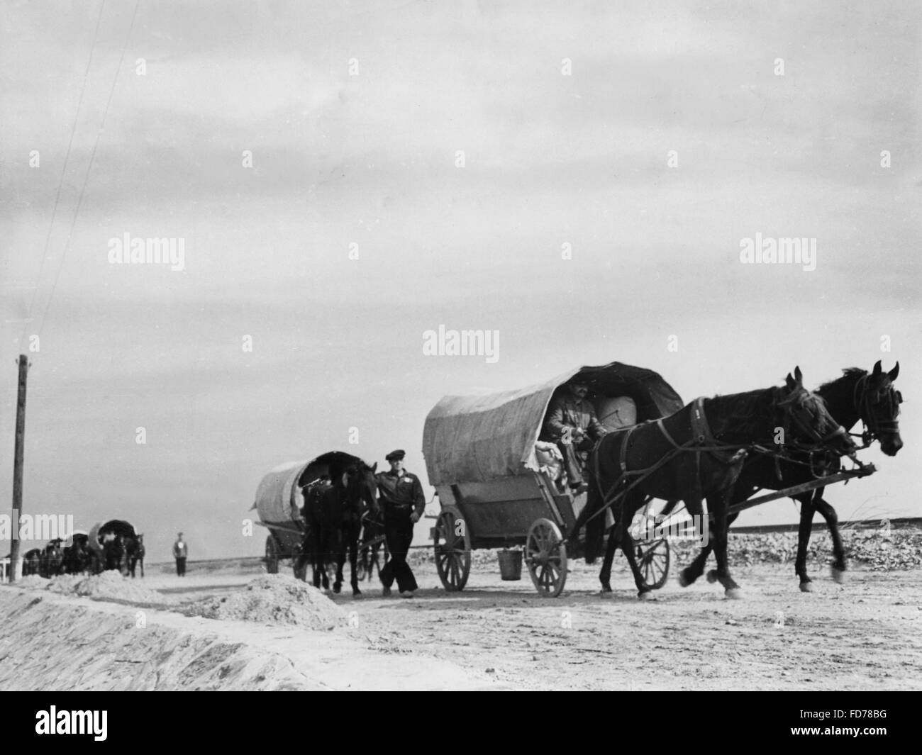 Wanderung von Bessarabien deutschen Umsiedler, 1940 Stockfotografie - Alamy
