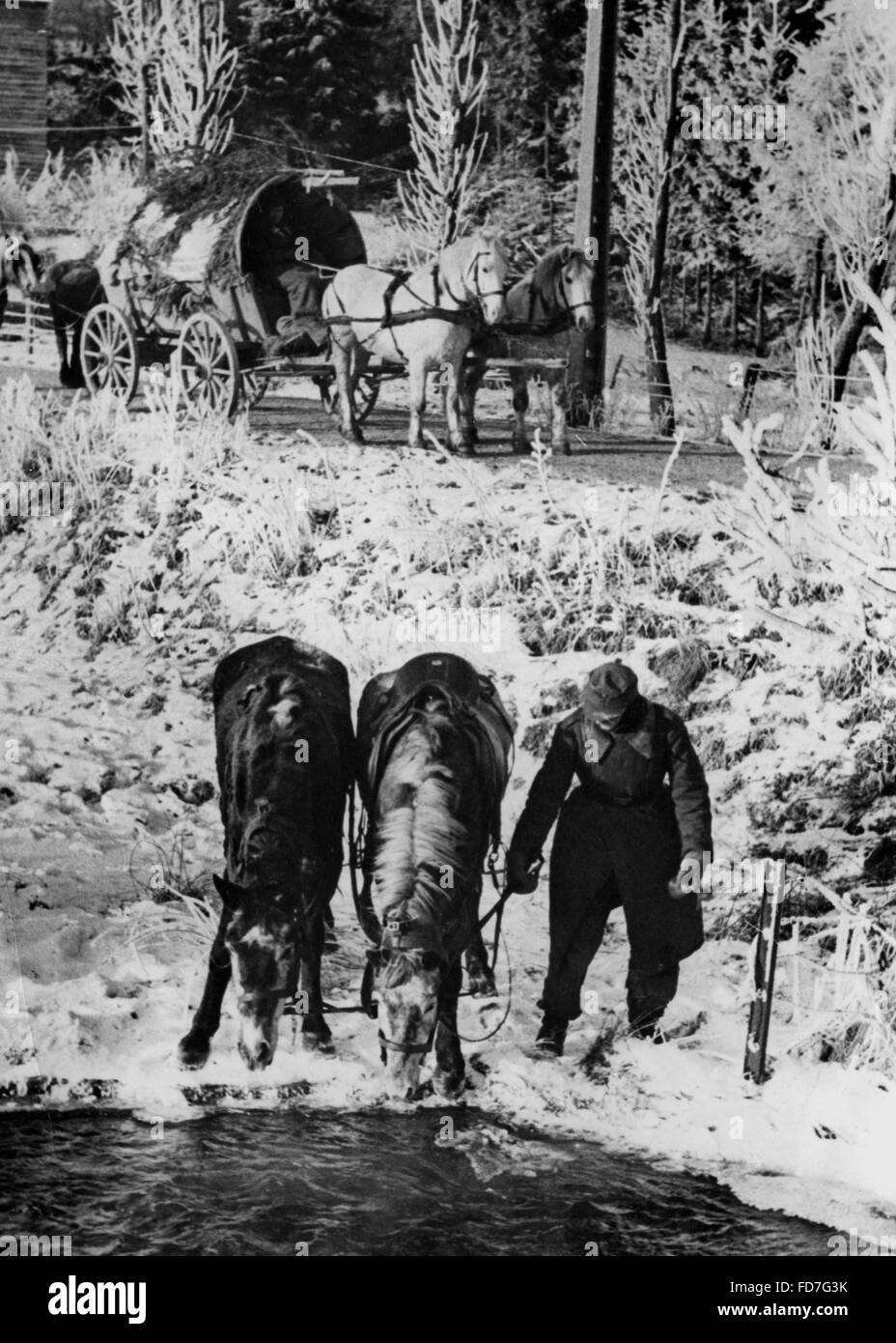 Tross der Wehrmacht während der Ardennenoffensive, 1945 Stockfotografie ...