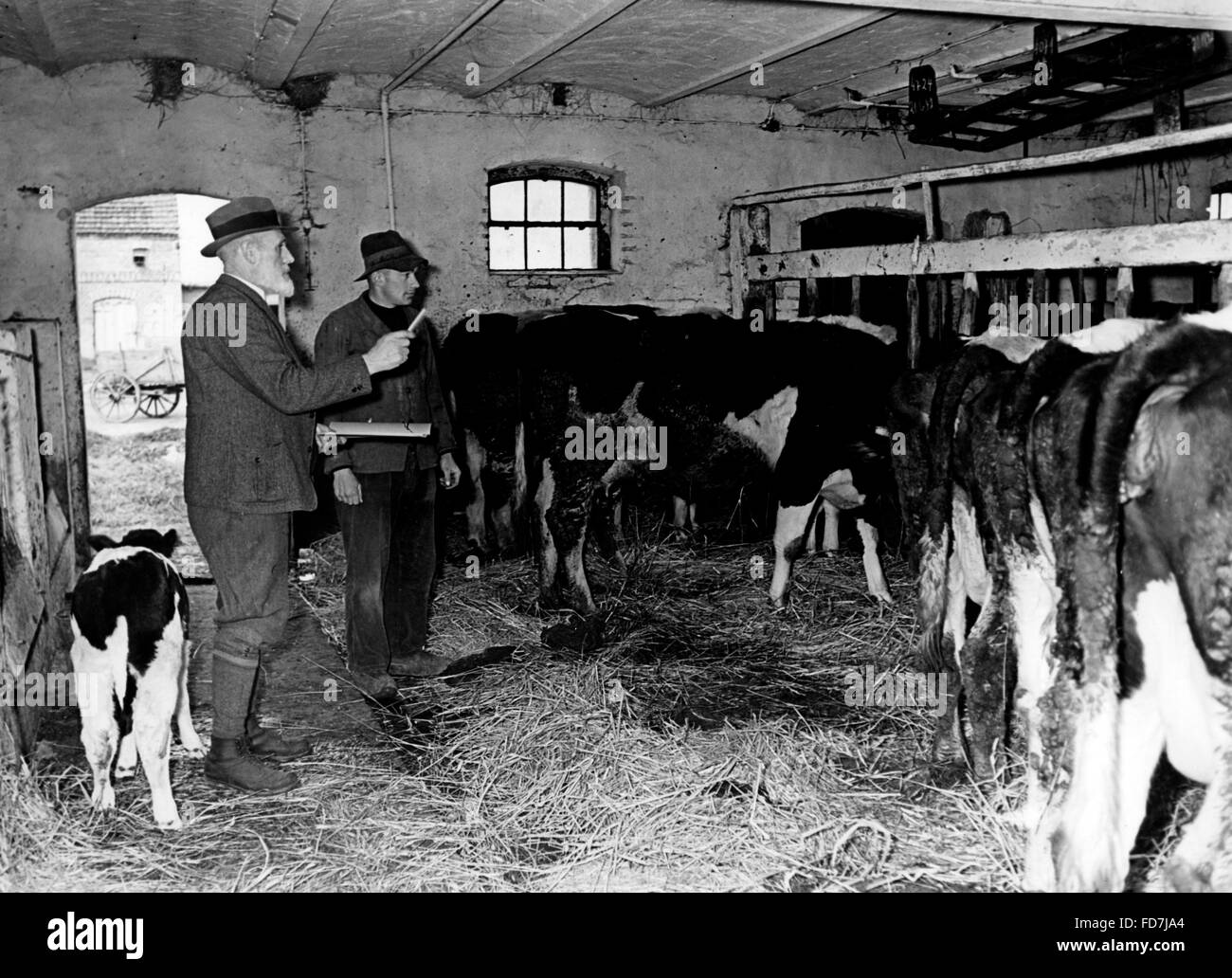 Tiere auf dem Bauernhof im Landkreis Niederbarnim, 1942 Stockfotografie ...