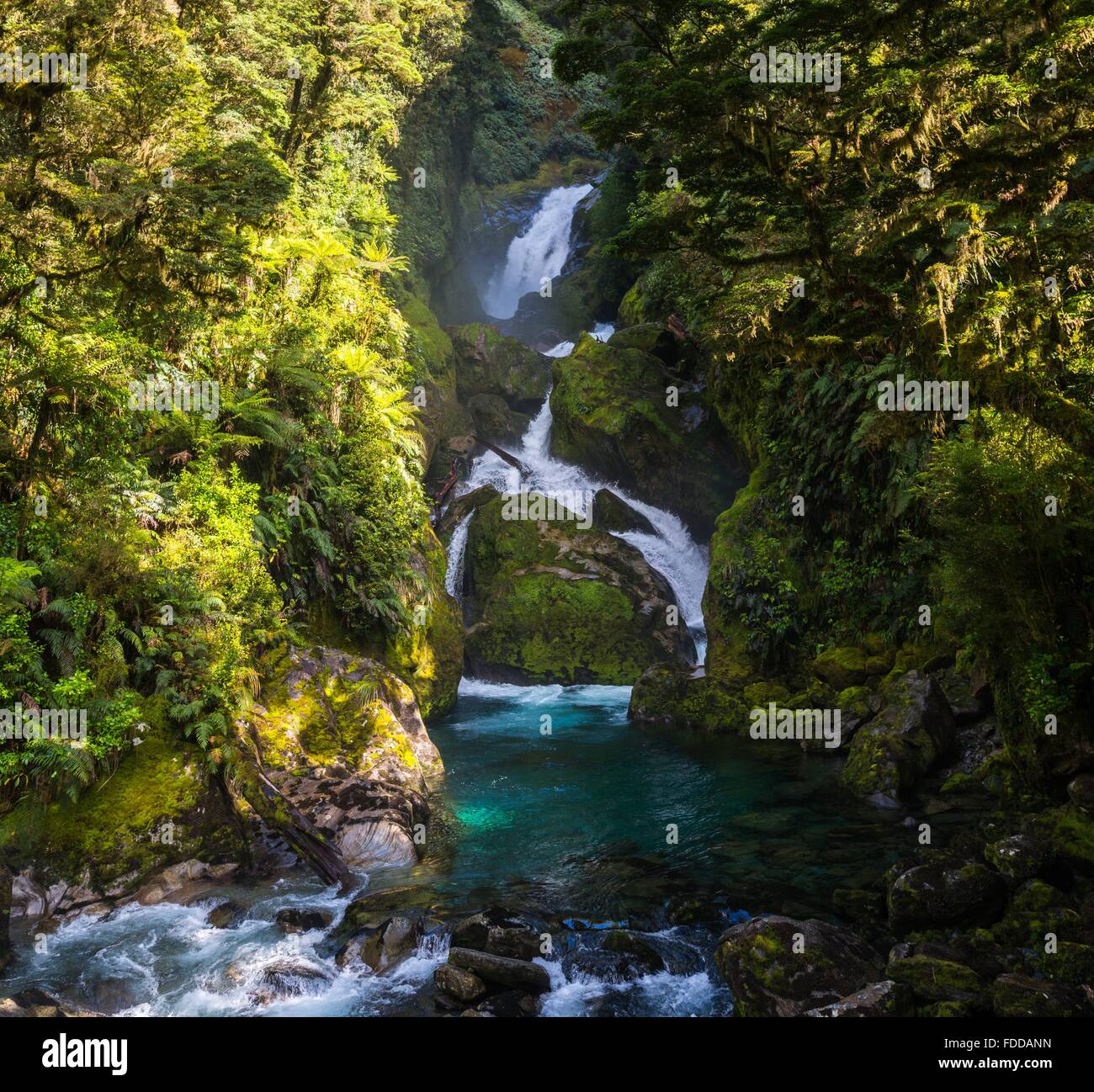 Hinter wasserfall regenwald -Fotos und -Bildmaterial in hoher Auflösung ...