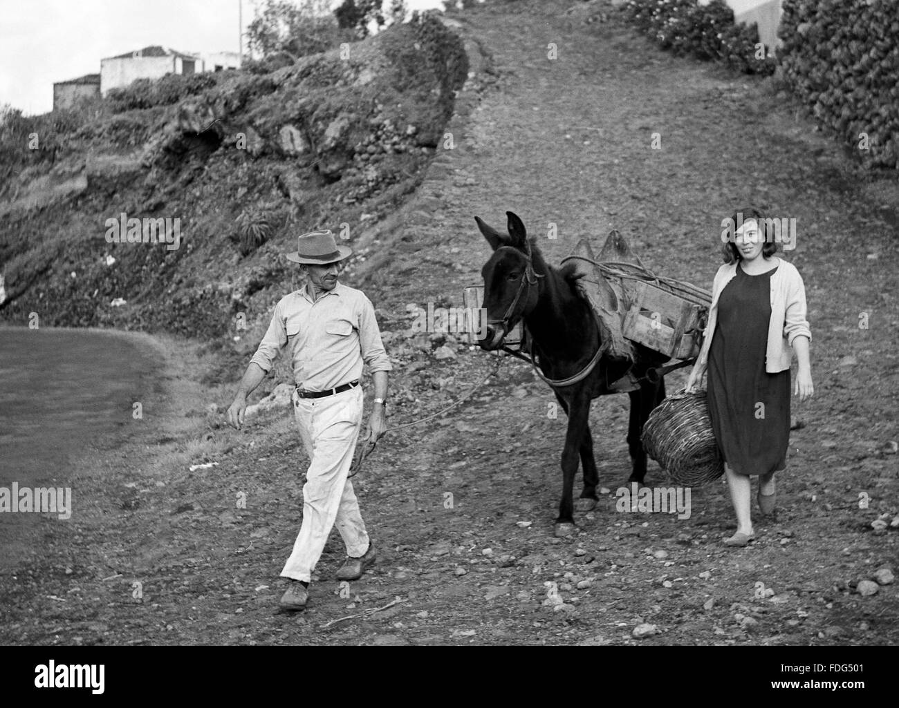 Mann und sein esel Schwarzweiß-Stockfotos und -bilder - Alamy