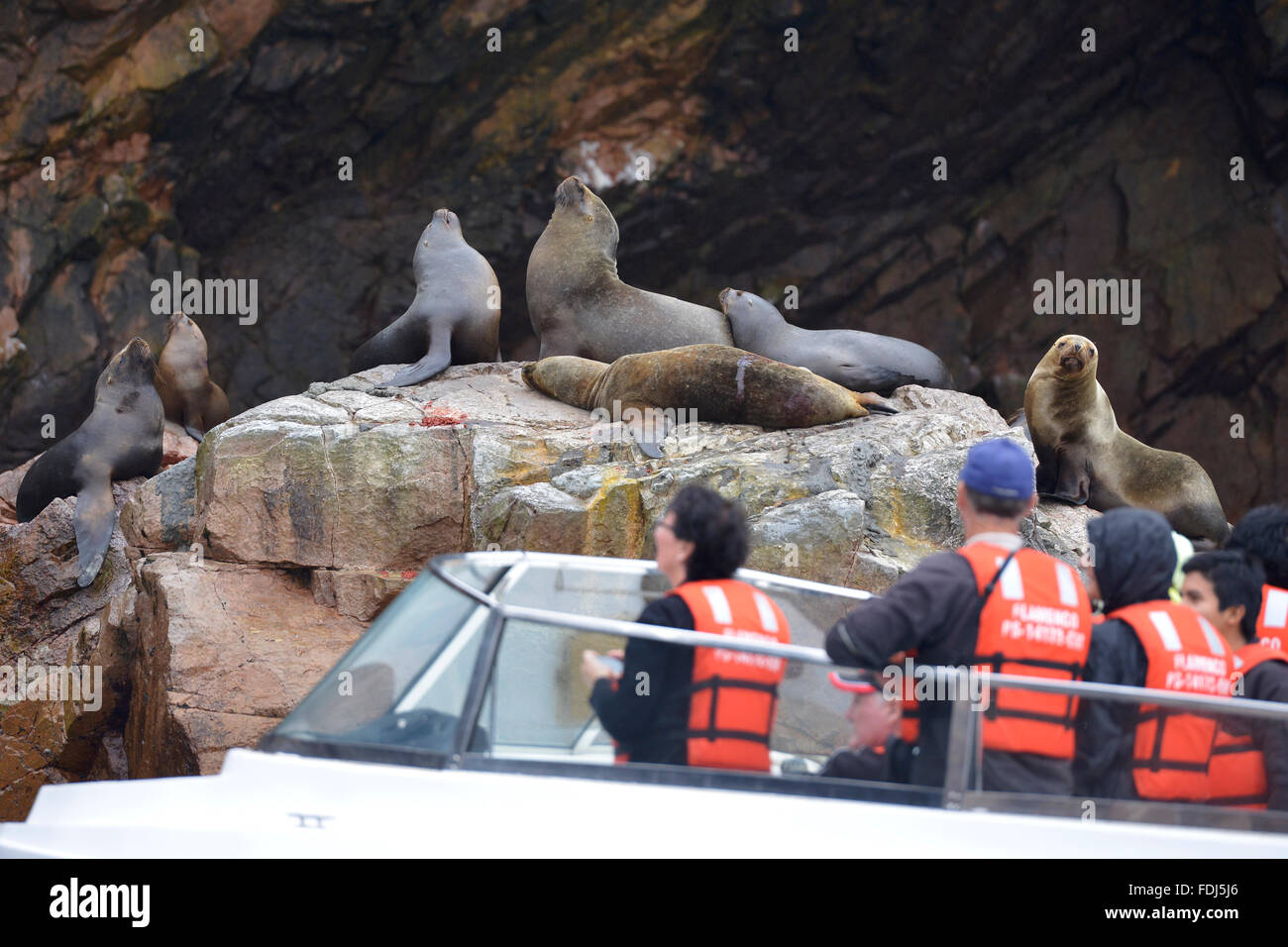 Ballestas Inseln, Paracas, Peru - 30. August 2015: Ein Boote mit ...